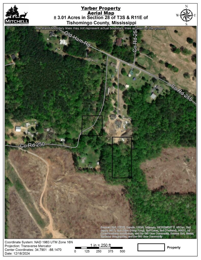 Yarber Property - Tishomingo County Land For Sale